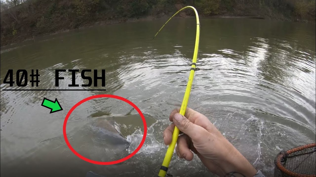 Ya'll ARE SLEEPING ON CARP FISHING *Underrated Fishery* - YouTube