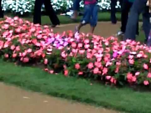 HAGGALA GARDENS NUWARA ELIYA - YouTube