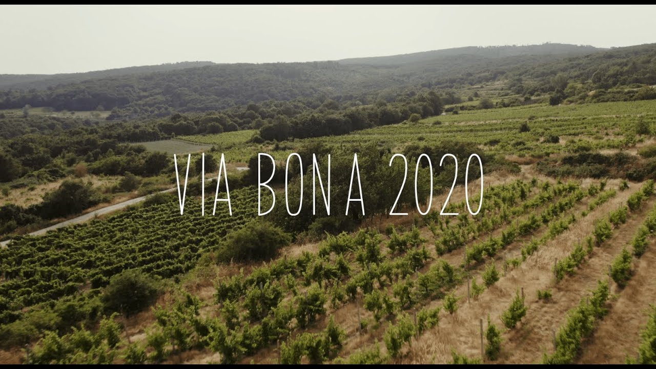 Via Bona Slovakia 2020 | Dokument o zodpovednom podnikaní - YouTube
