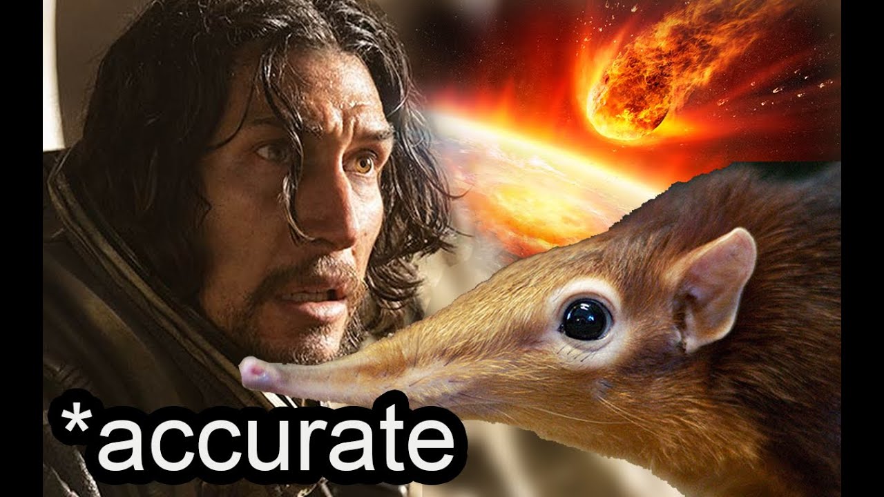 '65' Trailer RE-CUT for paleontological authenticity - YouTube