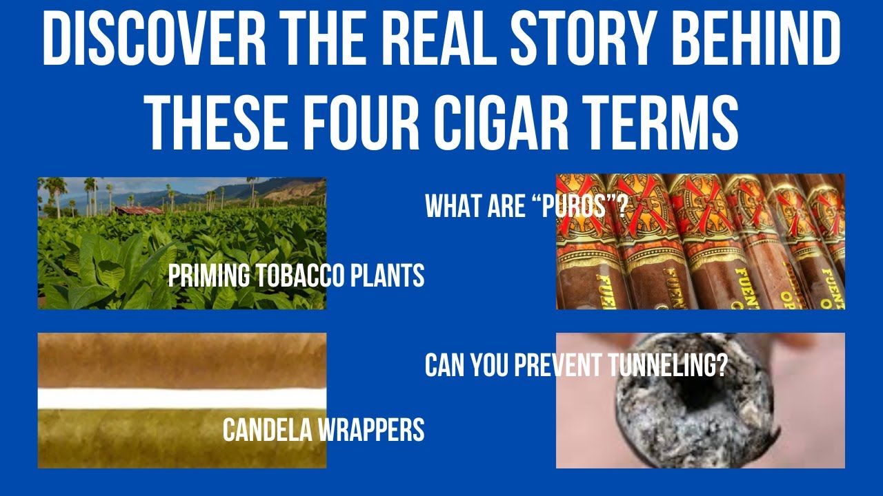 Discover the real story about these 4 cigar terms - YouTube