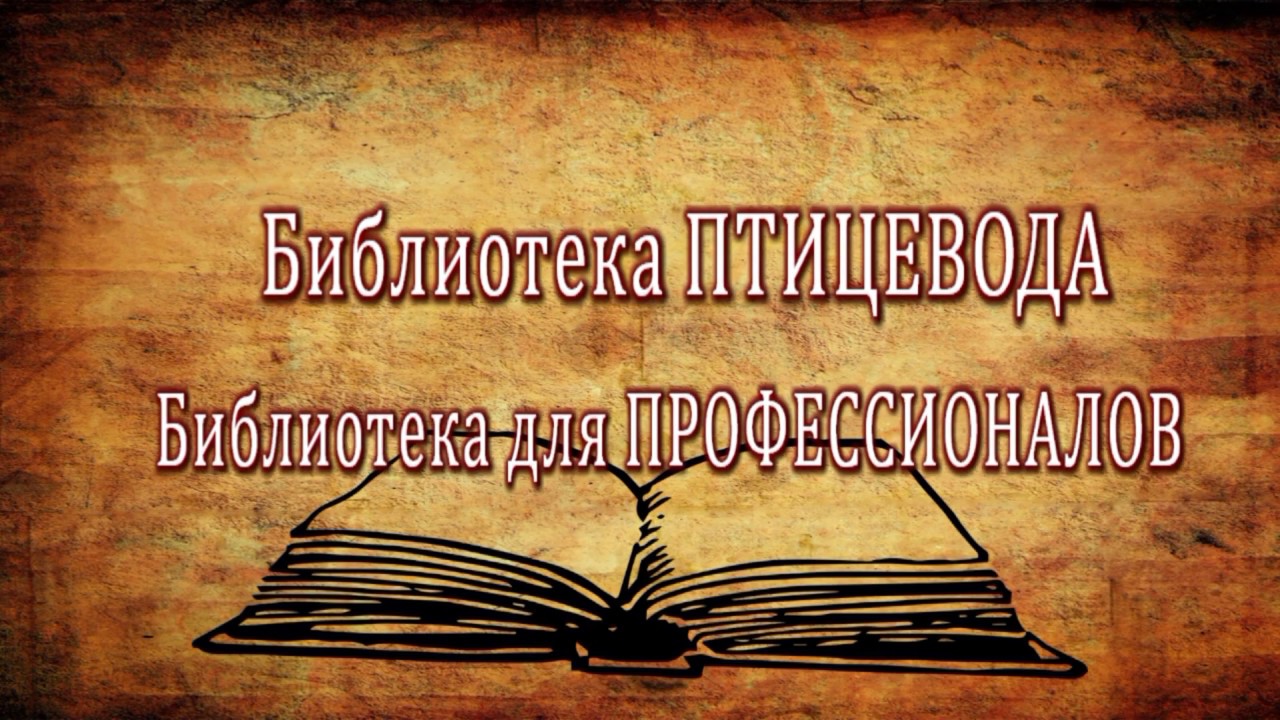 Сборник книг по птицеводству. - YouTube