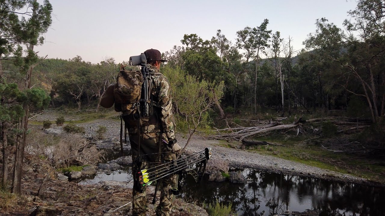 Bow hunting northern NSW - YouTube