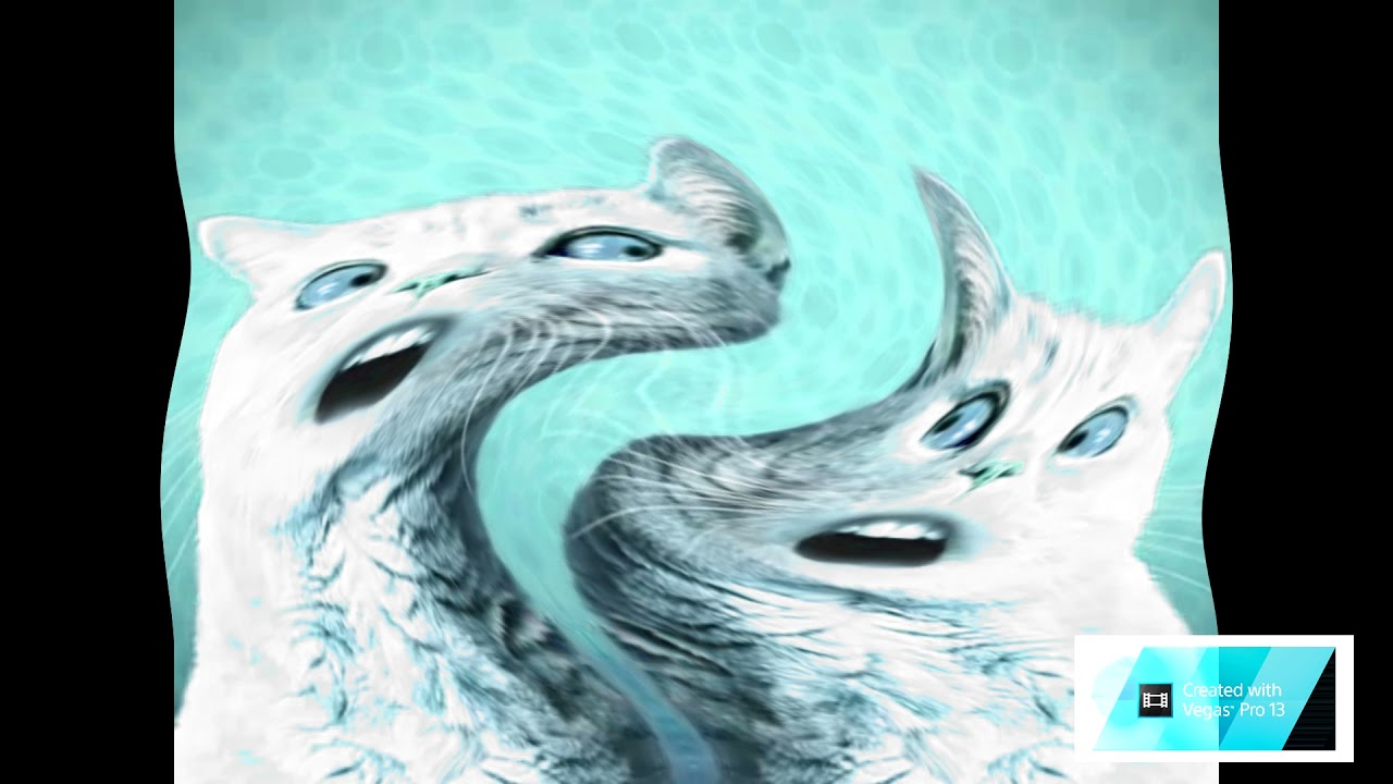 Numa Cat In Weird Code - YouTube