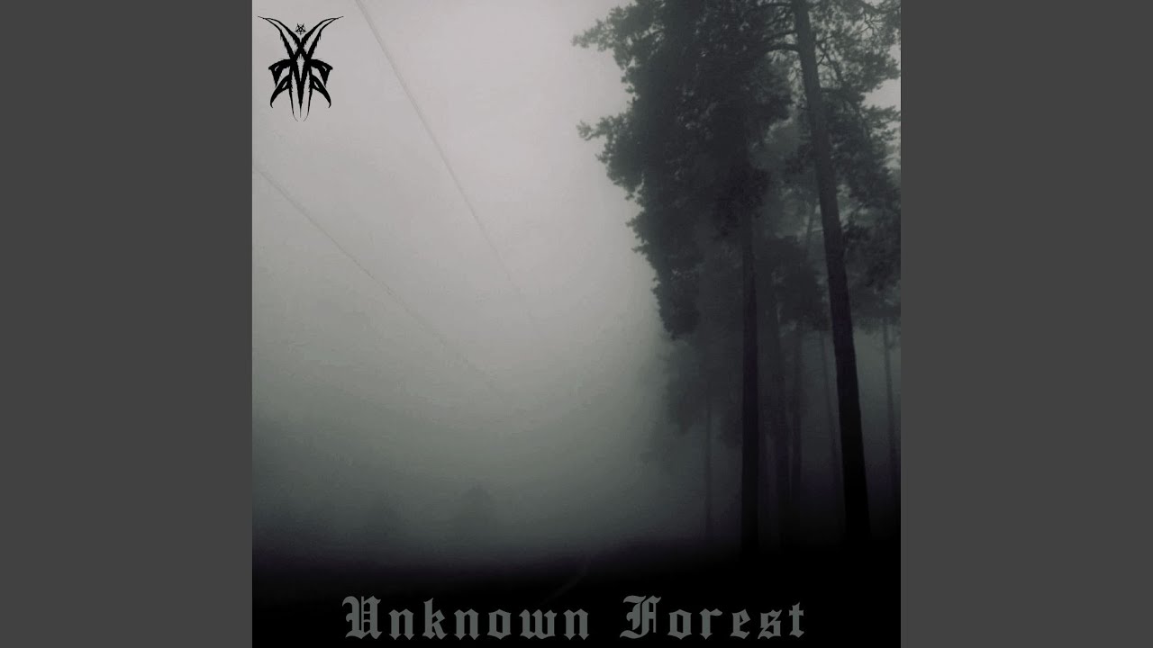 The Unknown Forest - YouTube