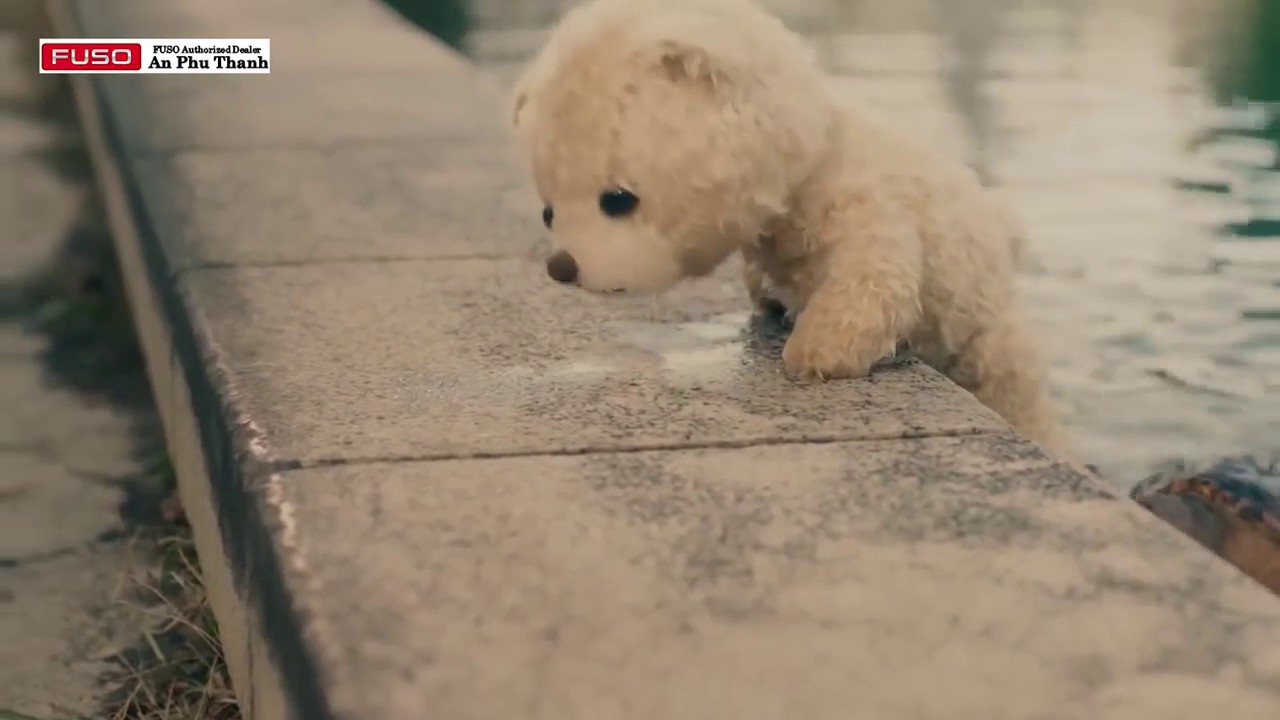 Phim ngắn cảm động Gấu Teddy - YouTube