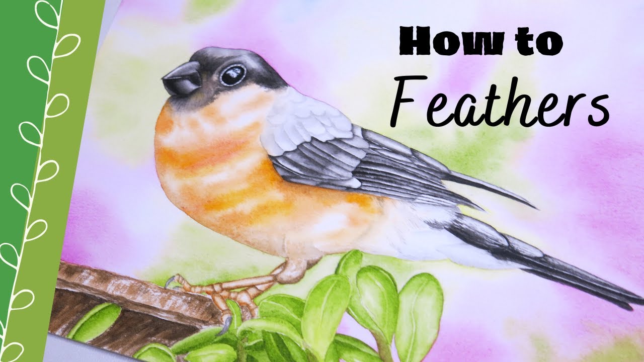 FEATHERS 8 Techniques - Bird with Cherry Blossom Flower - How to paint ...