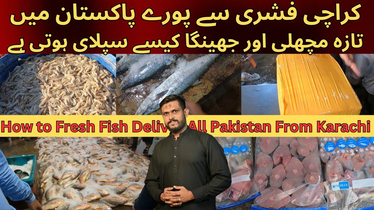How to Fresh Fish Deliver All Over Pakistan From Karachi Fishery ...