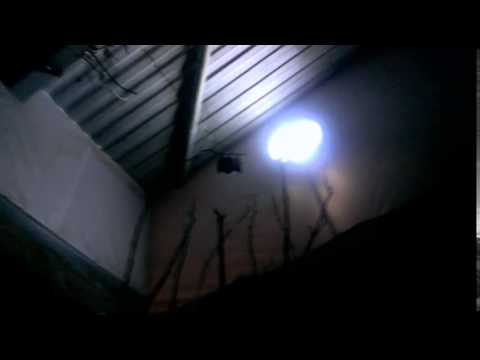 Batcave at Chester zoo 2014 - YouTube