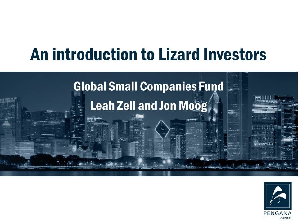 An introduction to Lizard Investors (November 2015) - YouTube