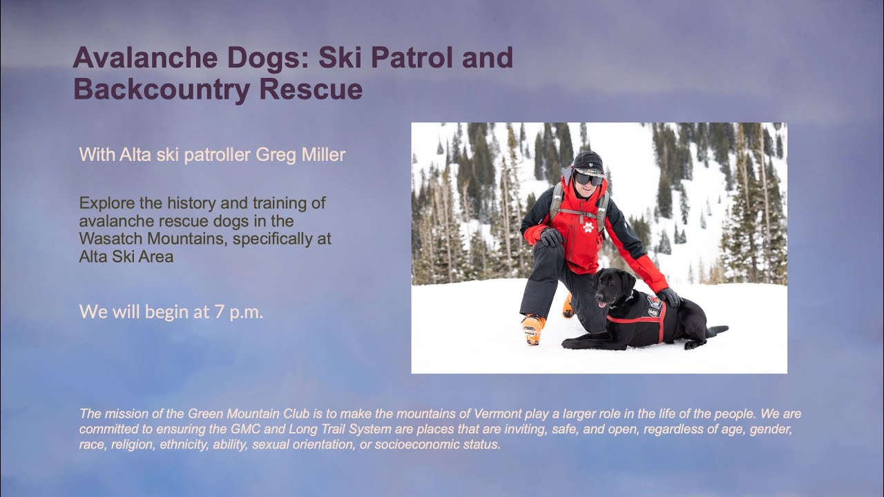 Avalanche Dogs: Ski Patrol and Backcountry Rescue - YouTube