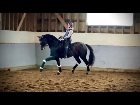 Milo B Training Feb 2023 - YouTube
