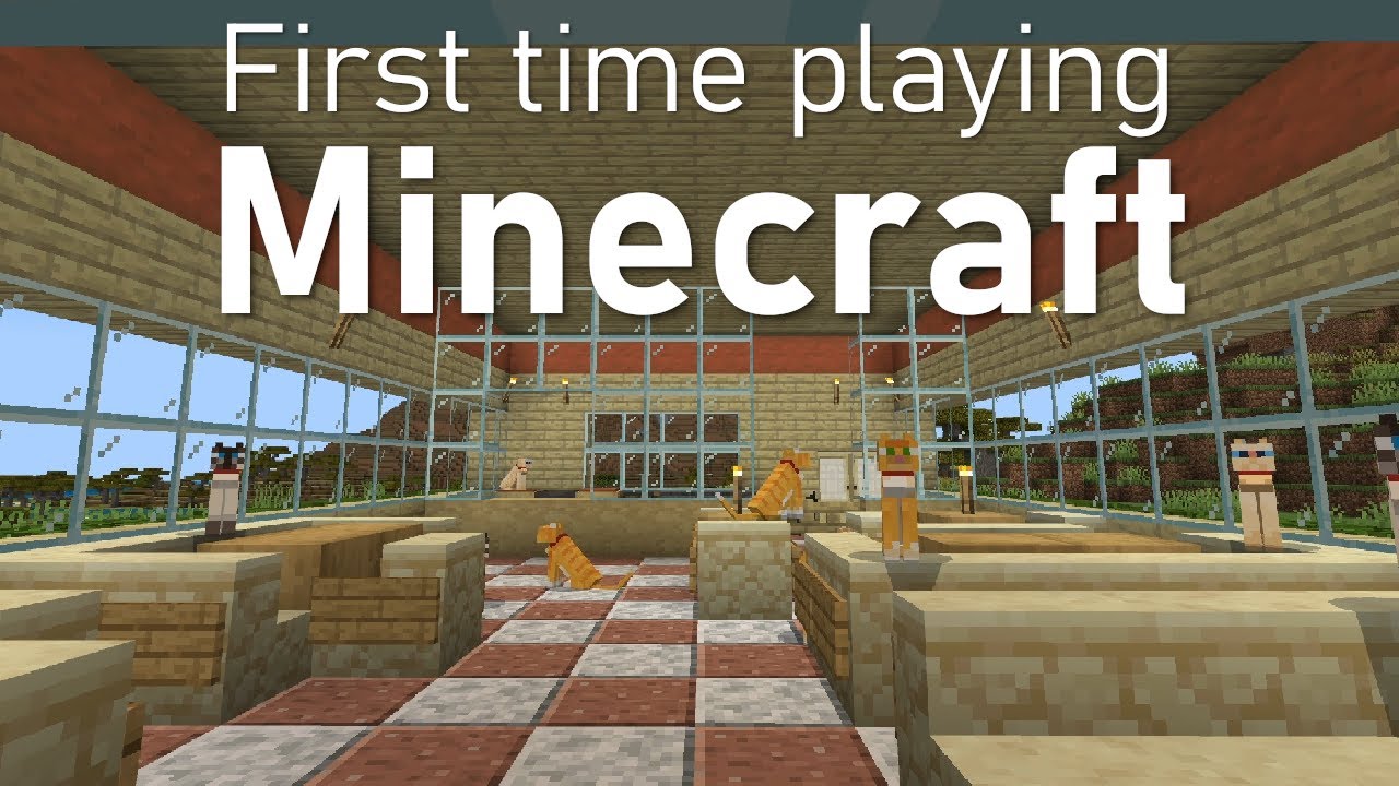 HUGE PROGRESS on my cat café!! | Minecraft 43 - YouTube