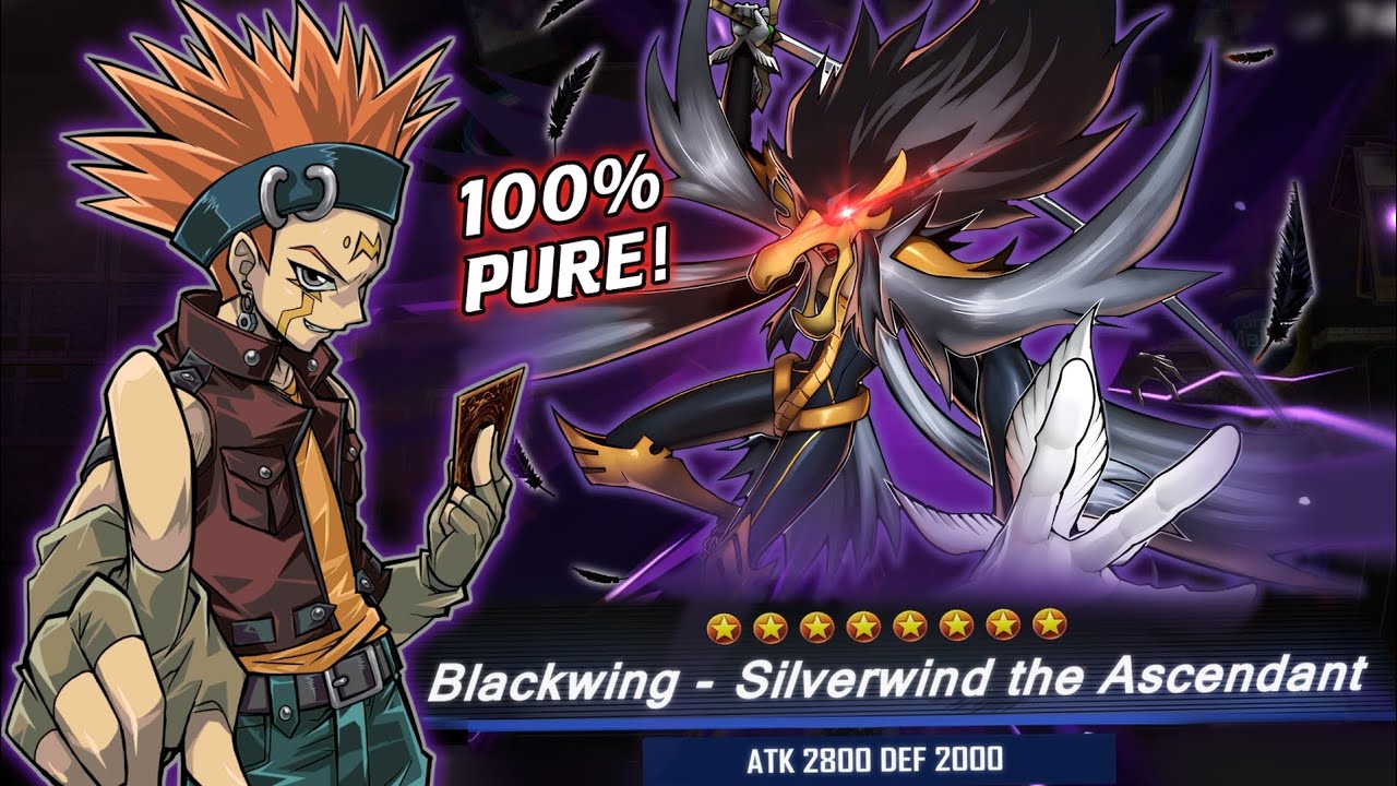 100% PURE BLACKWING ! With The New Structure Deck [Yu-Gi-Oh! Master ...