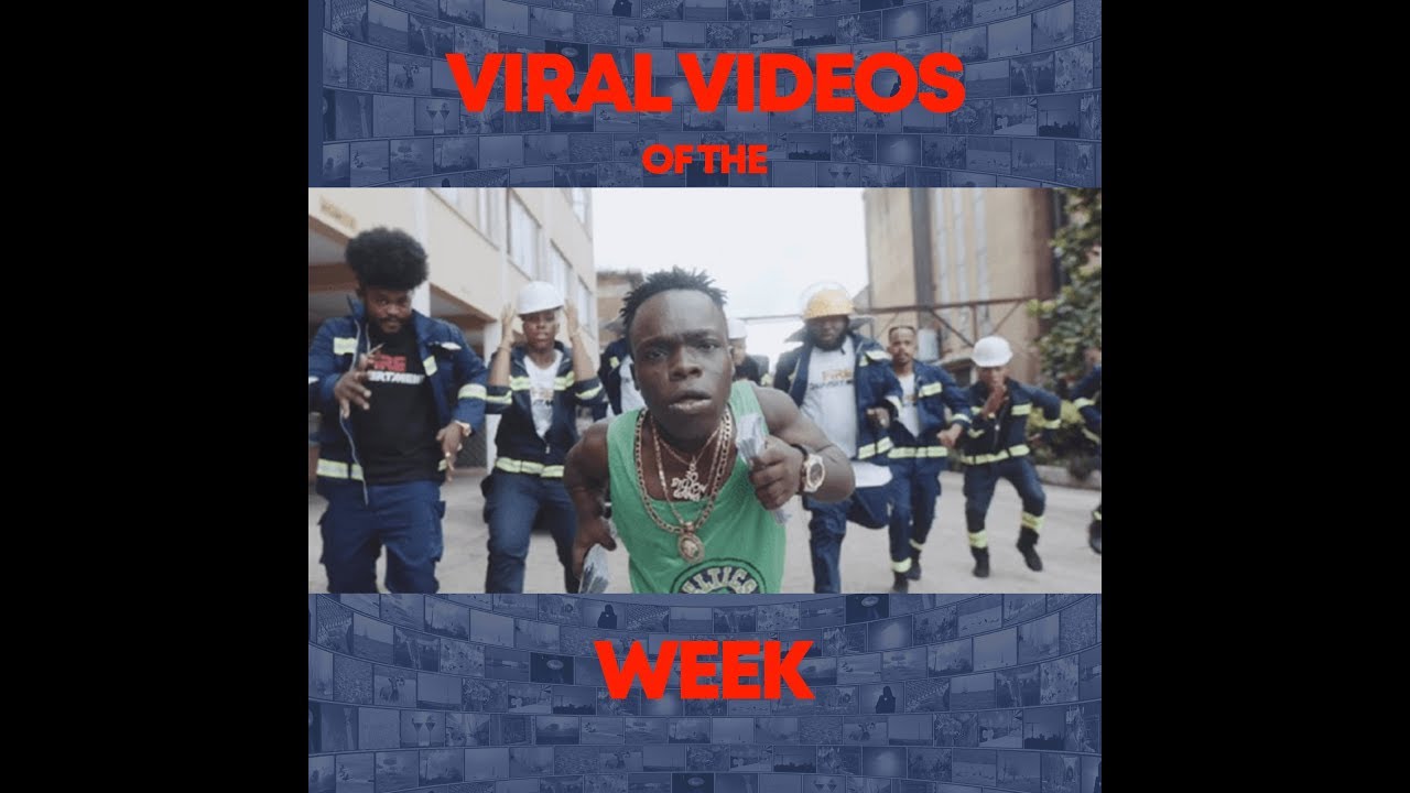 TOP 20 VIRAL VIDEOS OF THE WEEK SEPT. 2019 - YouTube