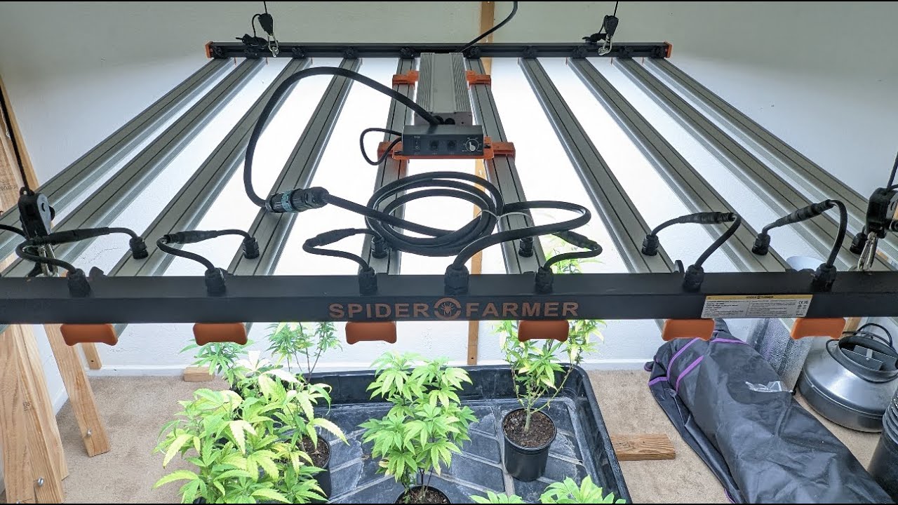 Best Grow Light 2023 Spider Farmer SE1000W 240v Installed On Light Rail ...