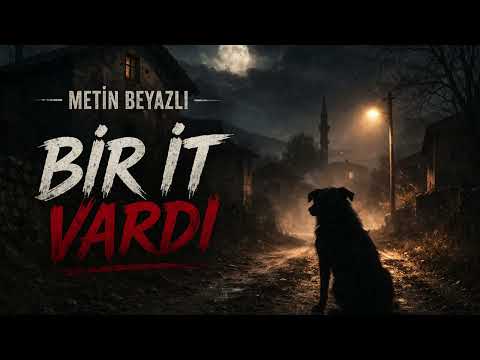 Şiirden Şarkılar | Metin Beyazlı - Bir İt Vardı