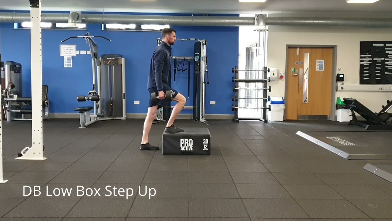 DB Low Box Step Up - YouTube