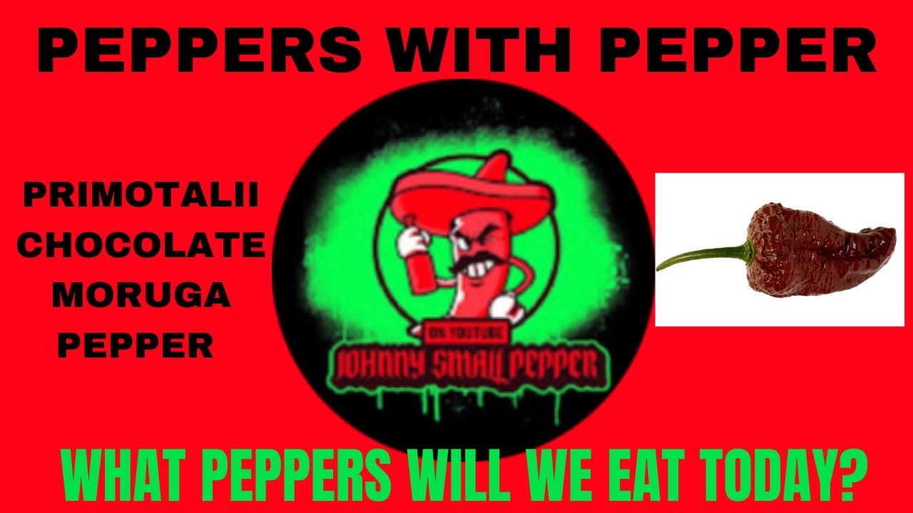 PEPPERS WITH PEPPER: PRIMOTALII CHOCOLATE MORUGA - YouTube