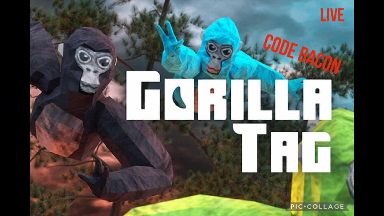 Cebus only up code bacon - YouTube