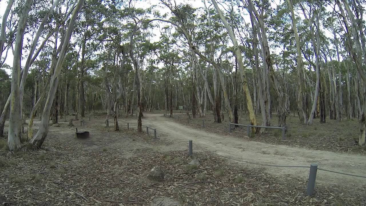 Boyd River Camp Area, Kanangra Boyd National Park, near Oberon, NSW ...