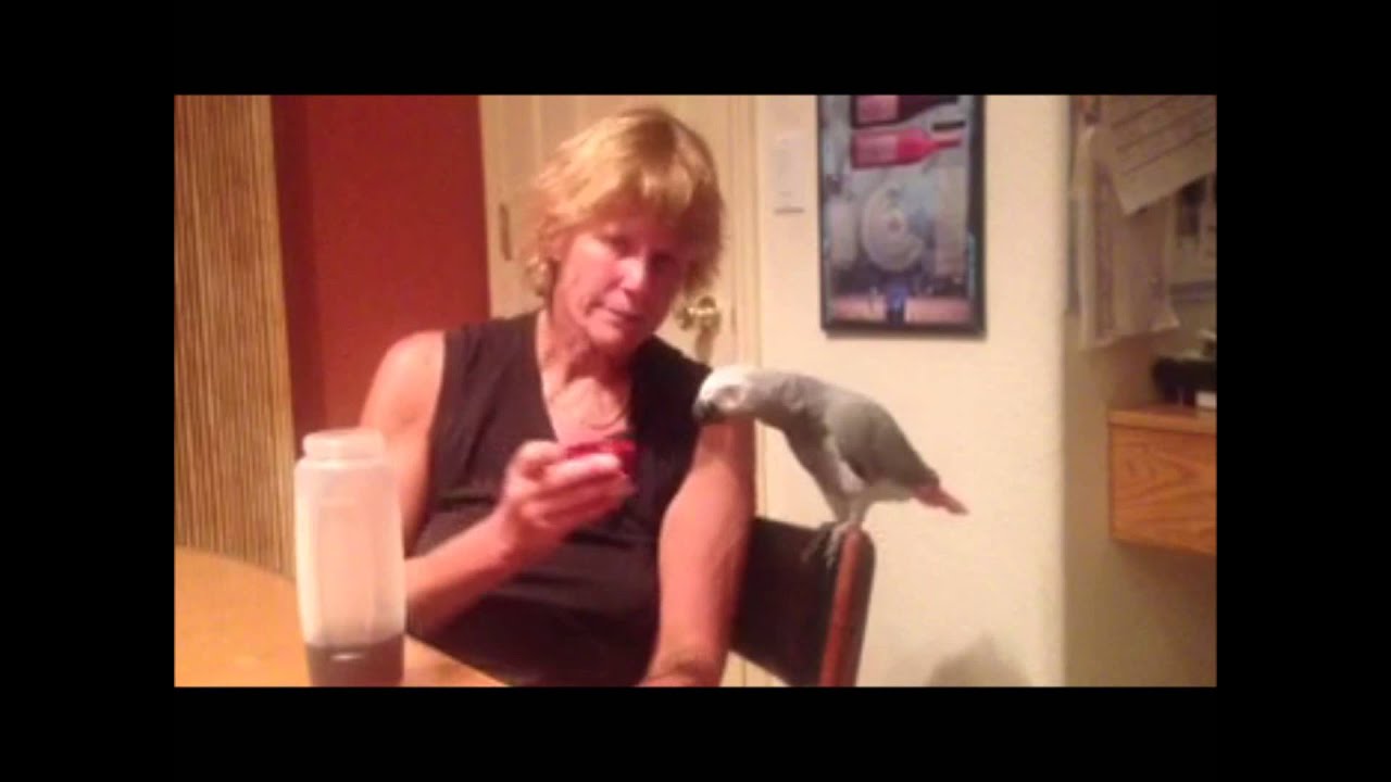 Keen (African Grey parrot) using sign language (YES, sign language ...