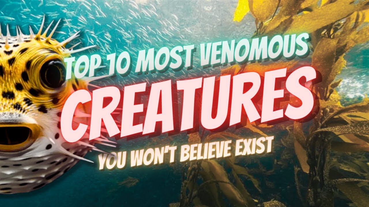 Top 10 Most Venomous Creatures You Won’t Believe Exist - YouTube