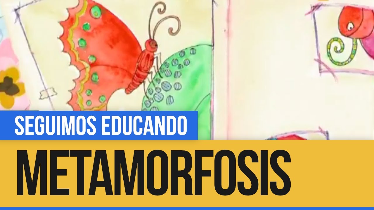 Metamorfosis: el ciclo de vida de las mariposas - Seguimos Educando ...