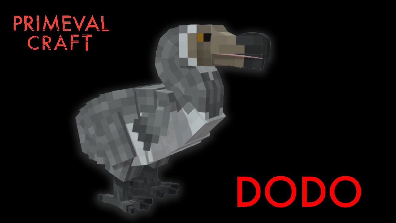 Dodo Showcase | Minecraft | Primeval Craft Addon - YouTube