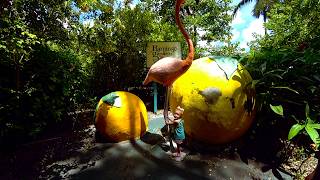 Flamingo Gardens Tour | Davie, Florida
