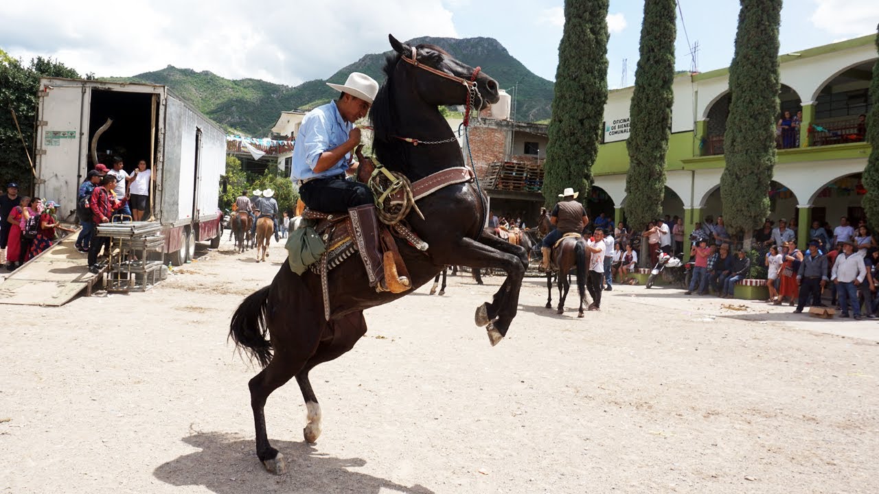 Talento Oaxaqueño. Santa Maria Zoquitlan - YouTube