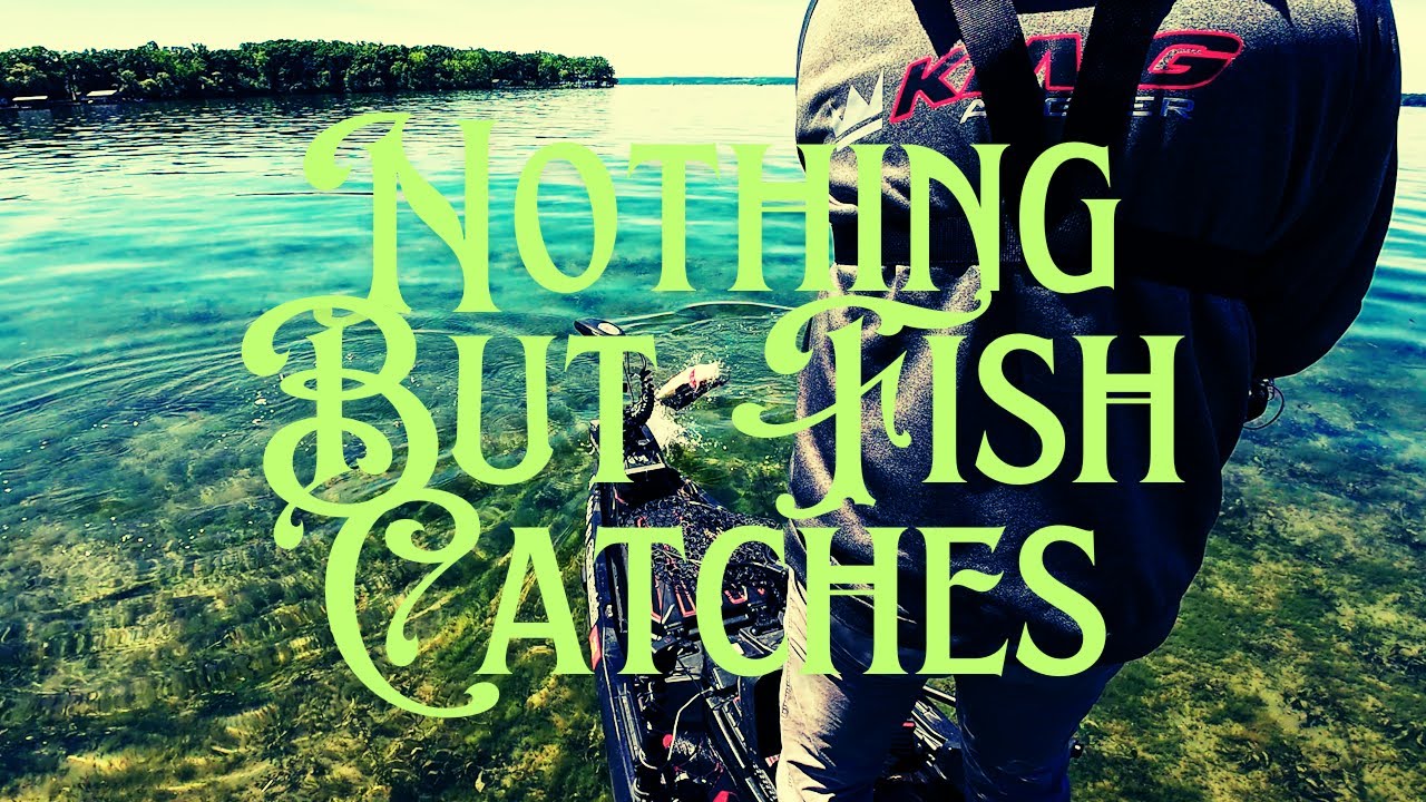 Nothing But Fish Catches - YouTube