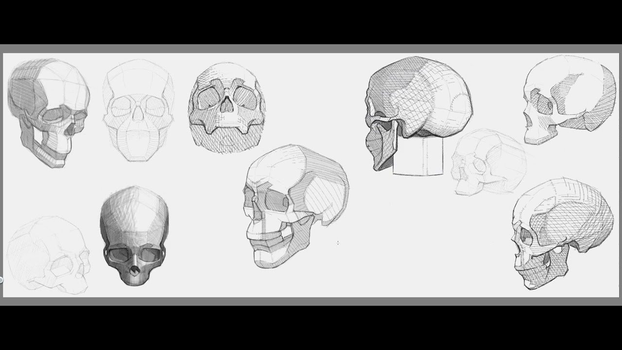 Study together. The skull planes_8 - YouTube