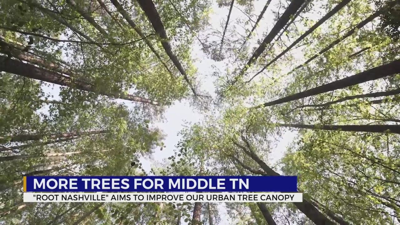 More trees for Middle Tennessee - YouTube