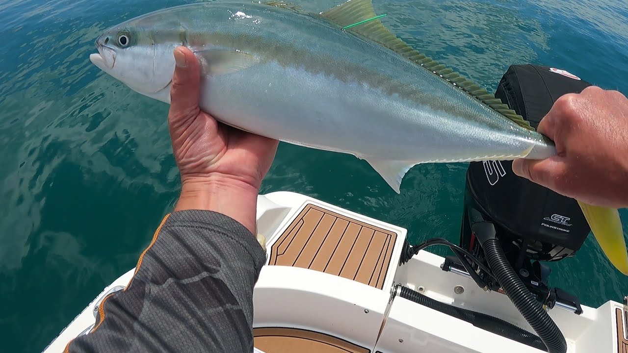 King Tag 2 - YouTube