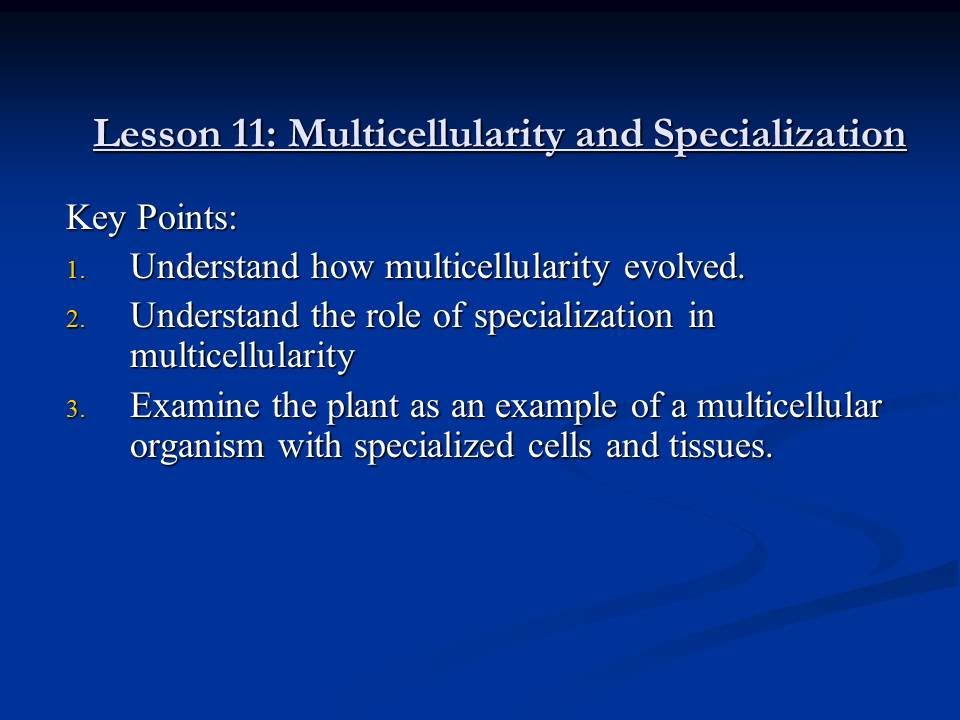 Unit 2 Lesson 11 Multi-cellularity - YouTube