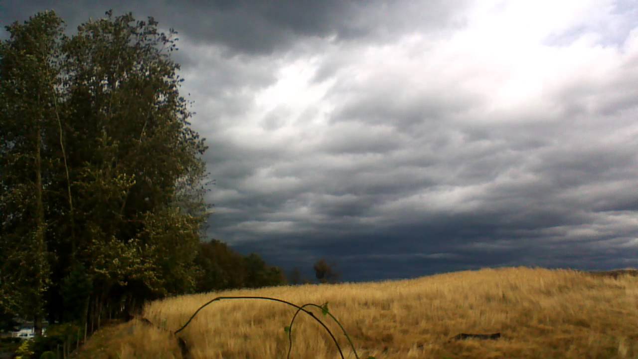 Extremely windy day in vancouver bc - YouTube