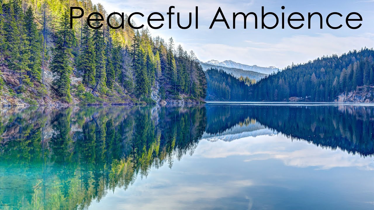 Peaceful Ambience | Reflective Forest Lake // Wind // Hawks // Crows ...