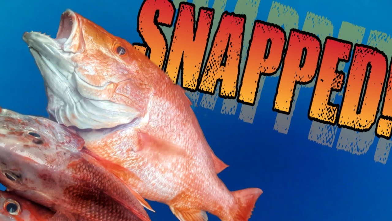 Hunt for Red Snapper | A Texas Deep Sea Fishing Adventure! - YouTube