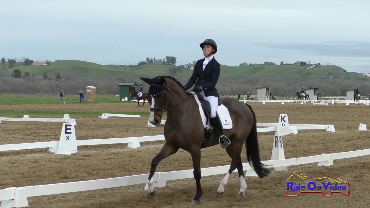 018D Megan Sykes on Classic's Mojah Intermediate Dressage Twin Rivers ...