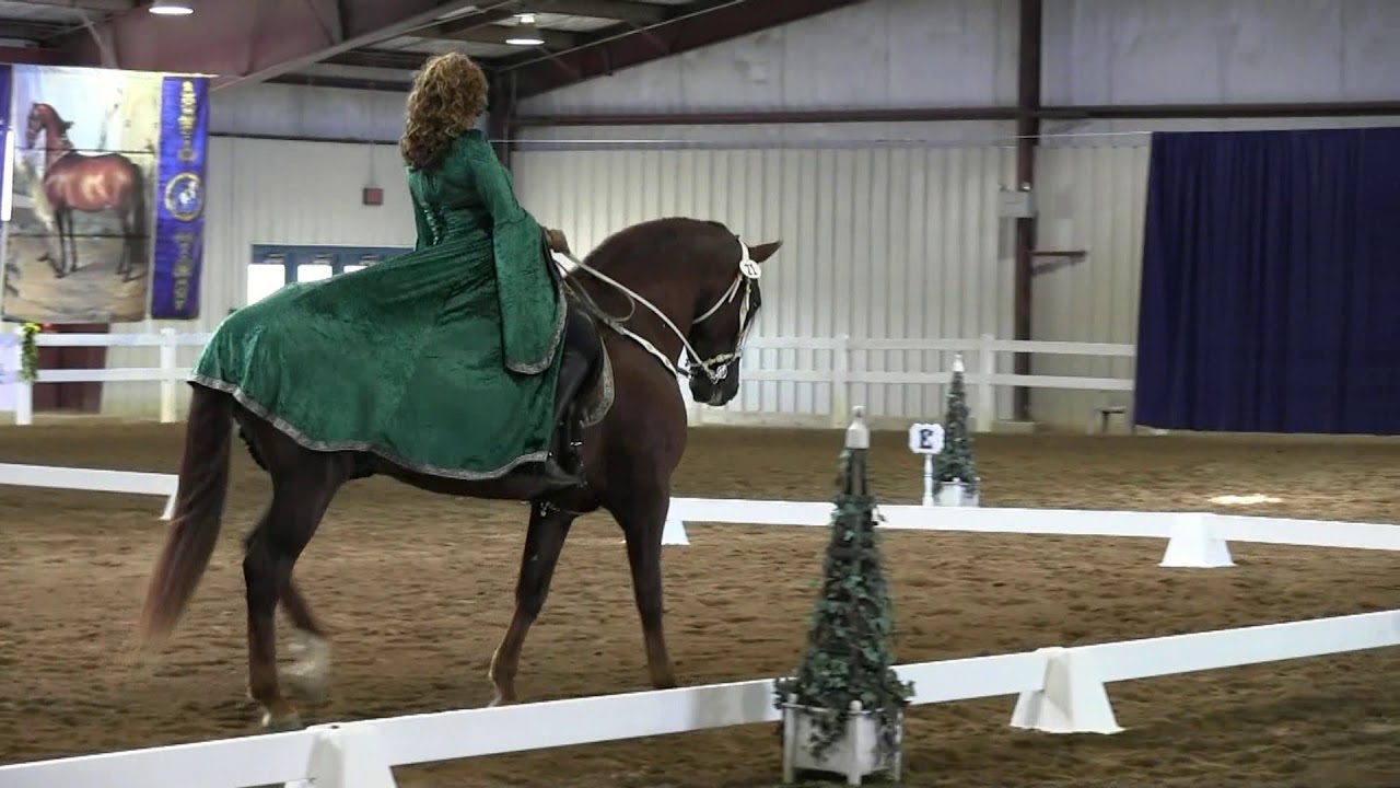 Mercurio Baroque Equestrian Games Initiate Musical Presentation Sharon ...