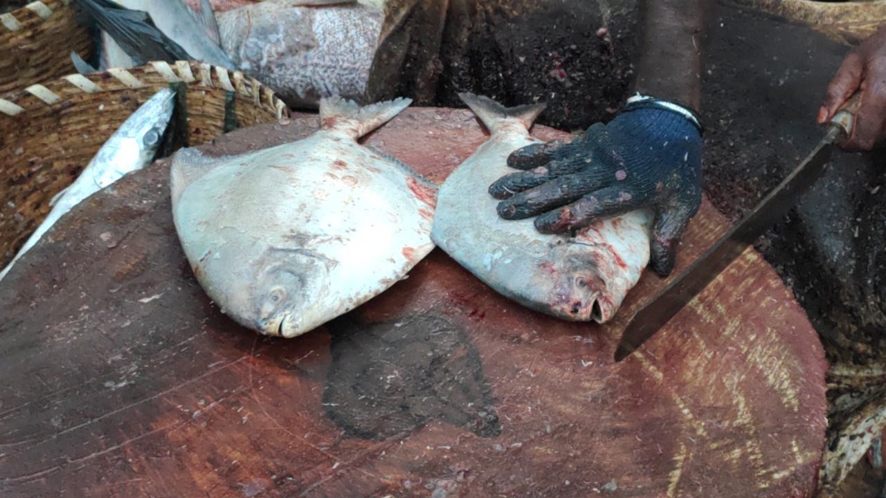 Amazing Vava Fish Cutting | In Indian Fish Market | Cutting Types 360 ...