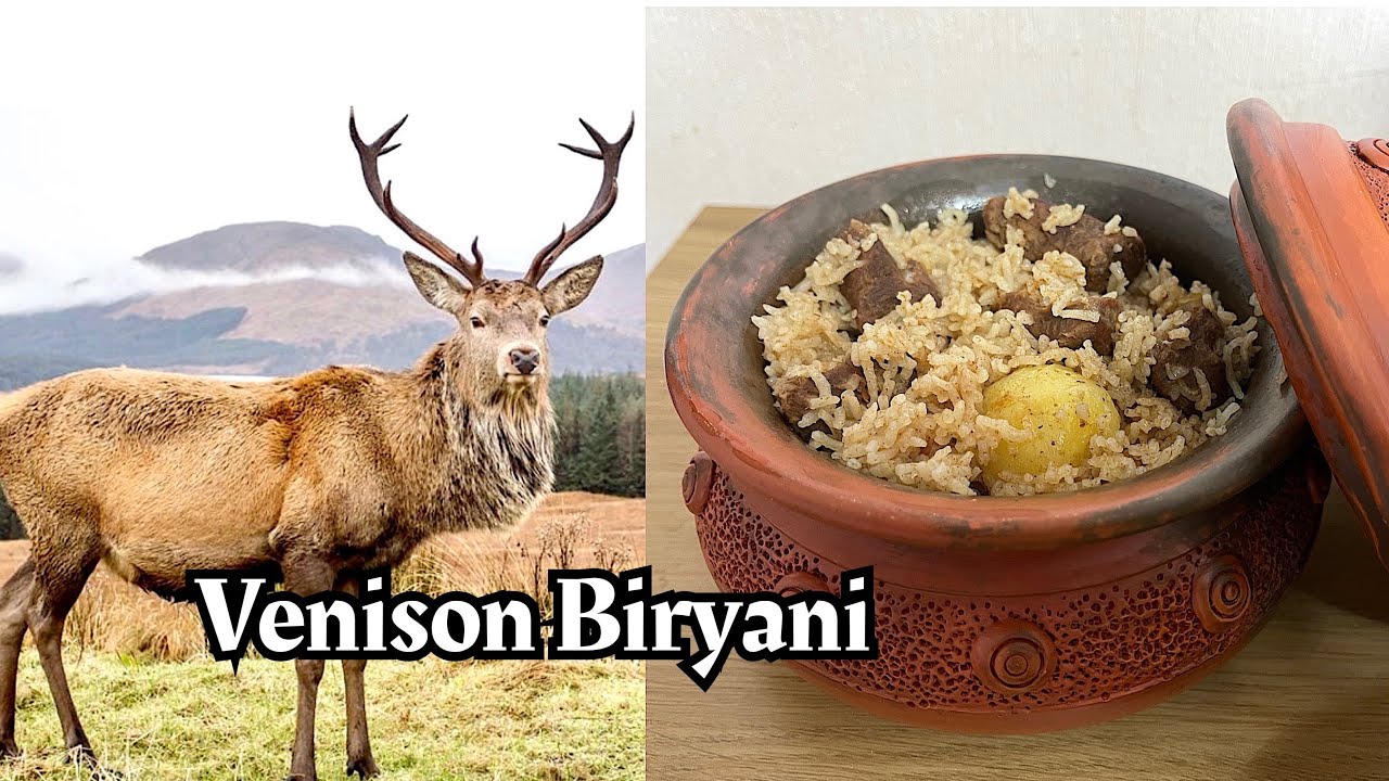 Venison Biryani -Deer biryani # My style my way - YouTube