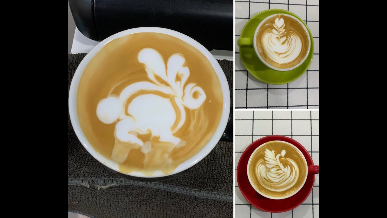 Practice Rabbit, Swan & Rosetta #250 2nd Sep - YouTube