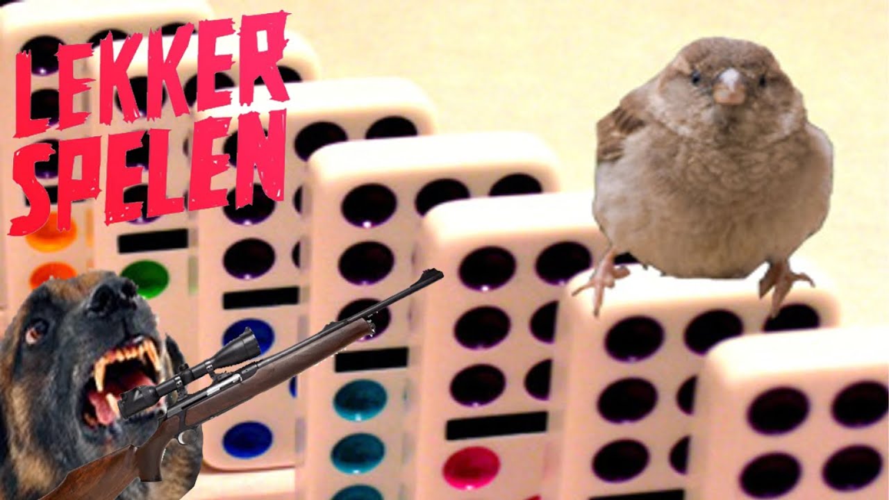 Lekker Spelen - Domino Day Mus - YouTube