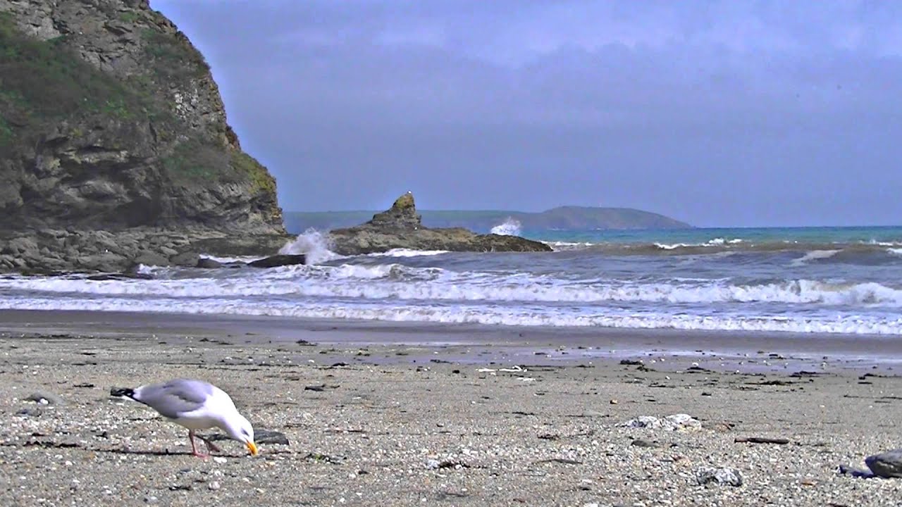 Ocean Relaxation - Ocean Waves - Ocean Sounds HD - YouTube