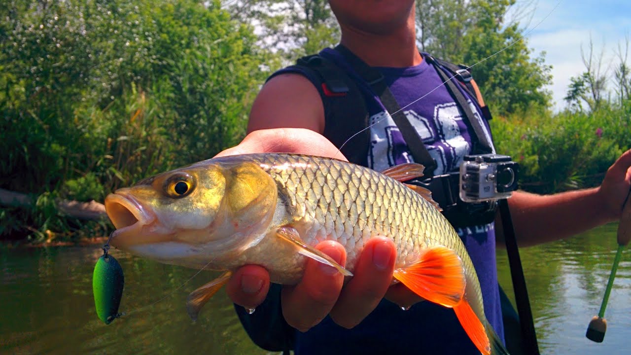 UL Fishing III - YouTube