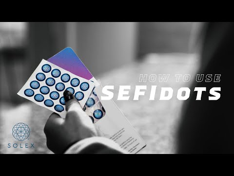 How to Use SEFIdots - YouTube
