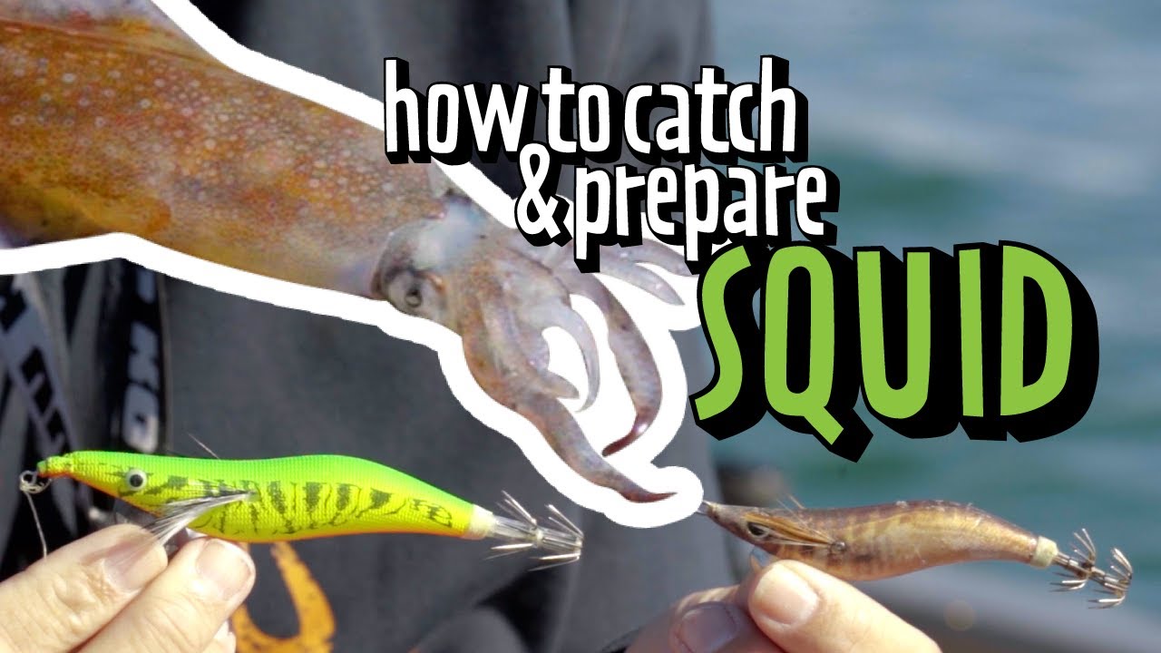 Catching Squid on the Gold Coast | The Best Squid Jigs - YouTube