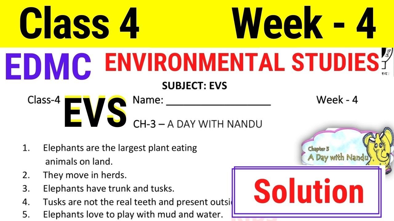 EDMC Class 4 EVS Week 4 Worksheet 4 / class 4th EVS worksheet 4 with ...